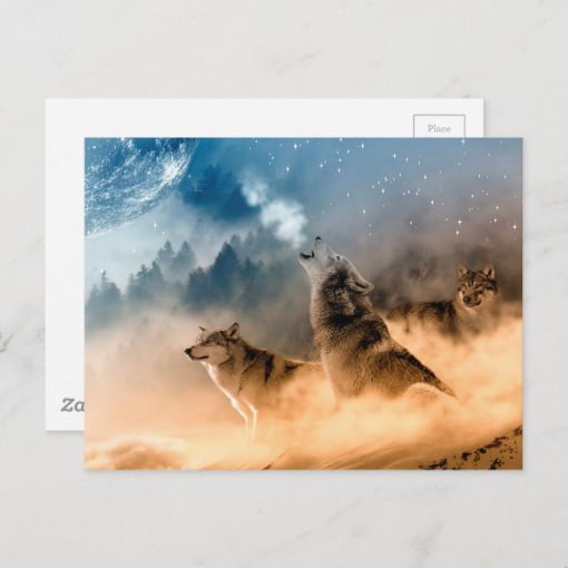 Postcard/Wolves Postcard | Zazzle