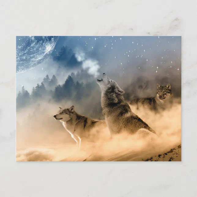Postcard/Wolves Postcard | Zazzle