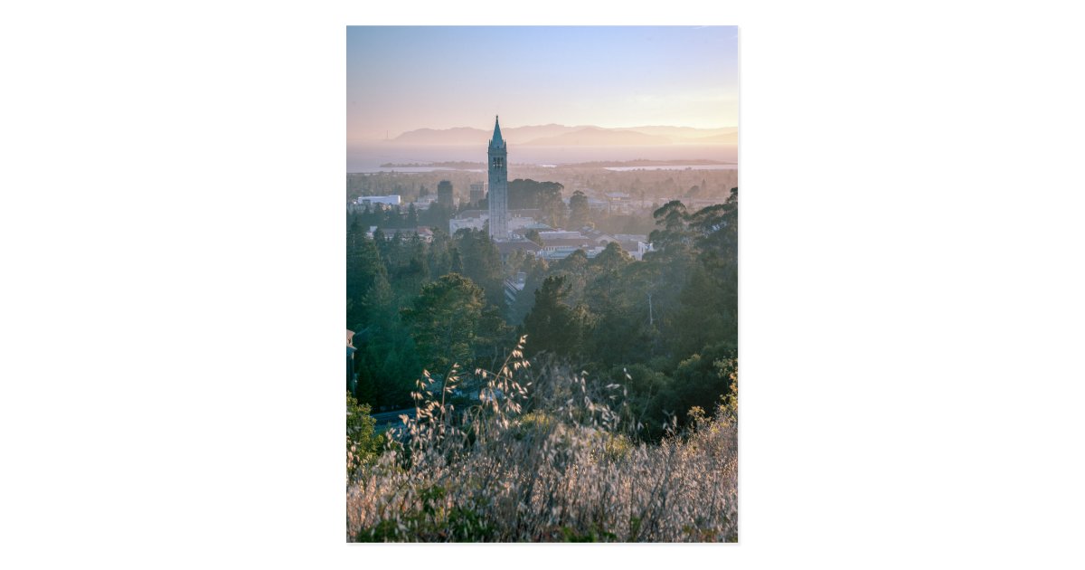 Postcards: University of California, Berkeley Postcard | Zazzle.com