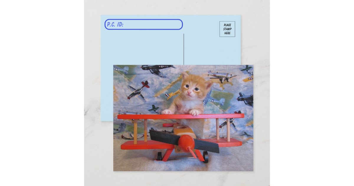 Postcrossing = Dolce the Cat's Airplane Postcard | Zazzle