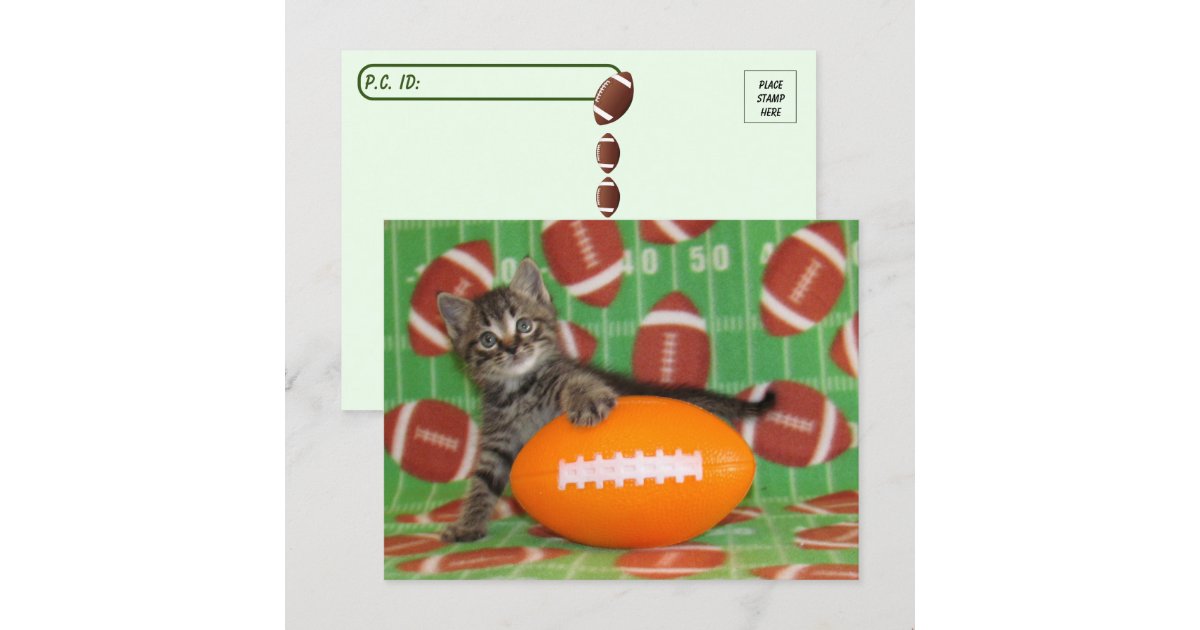Postcrossing Patton Plays Football - Cat Postcard | Zazzle