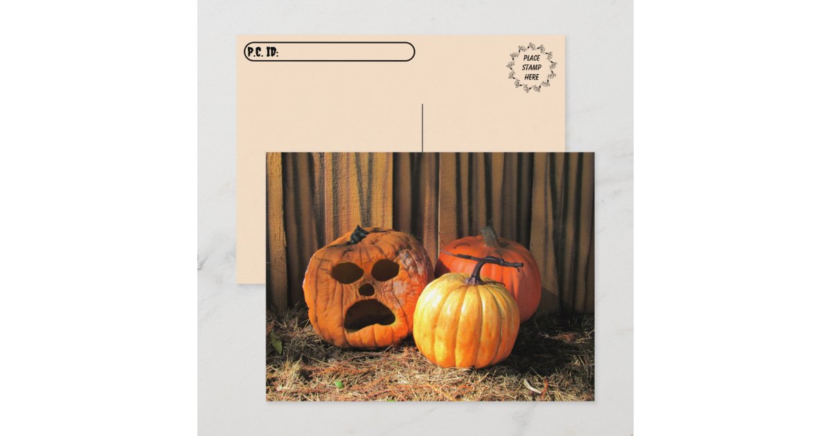 Postcrossing - Rotten Pumpkins Halloween Postcard | Zazzle