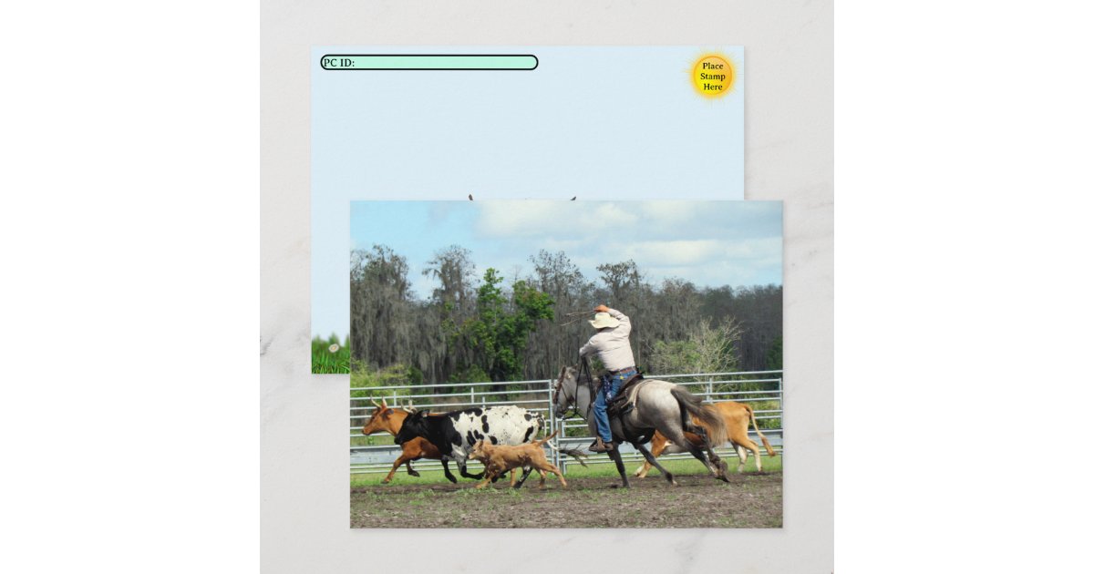 Postcrossing - The Roundup - Cowboy Postcard | Zazzle