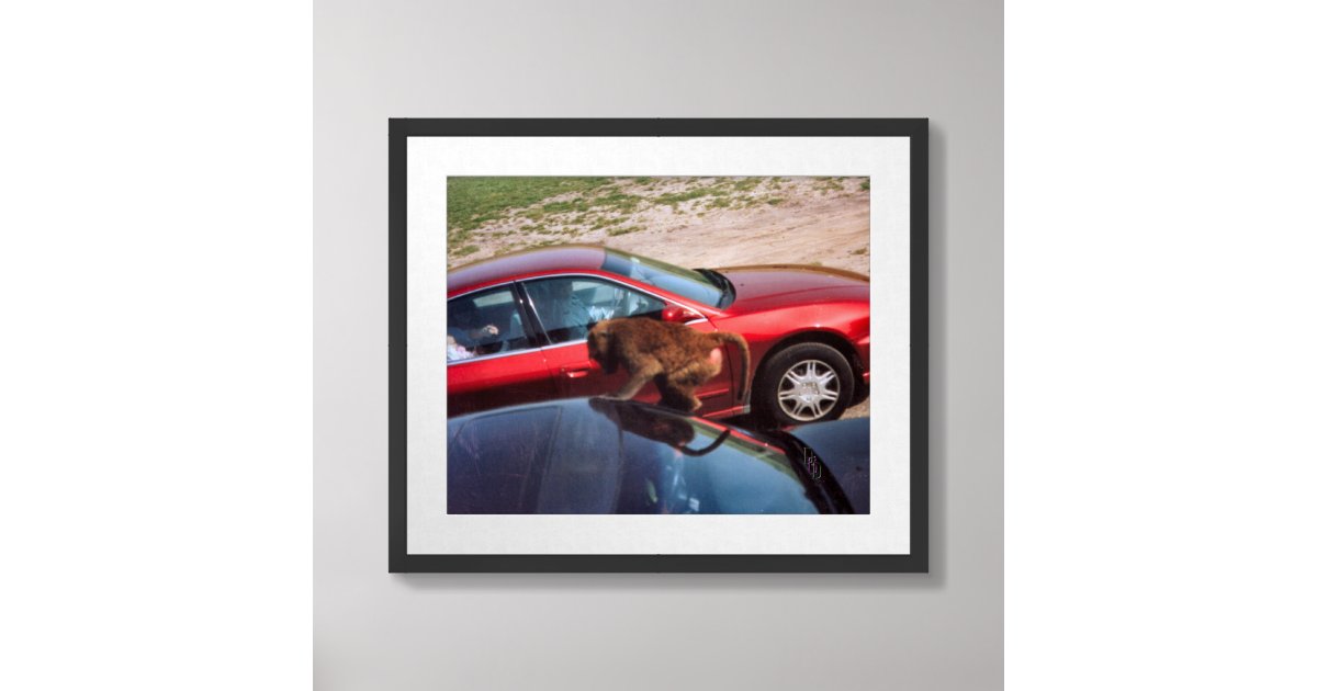 Poster | Zazzle