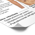 Poster Chart of bacterial infections in Humans | Zazzle