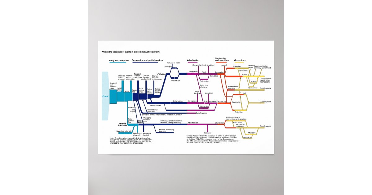 Poster Chart USA American Criminal Justice System | Zazzle