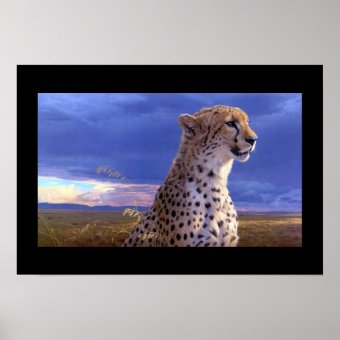Poster-Cheetah Poster | Zazzle