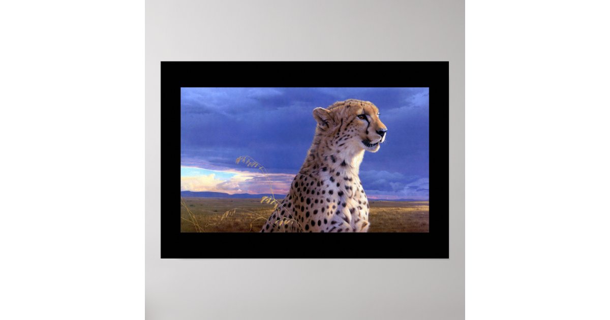 Poster-Cheetah Poster | Zazzle