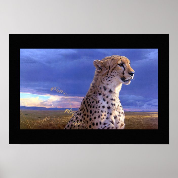 Poster-Cheetah Poster | Zazzle.com