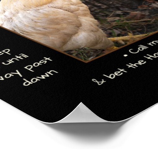 Poster-Chicken Bucket List Poster | Zazzle