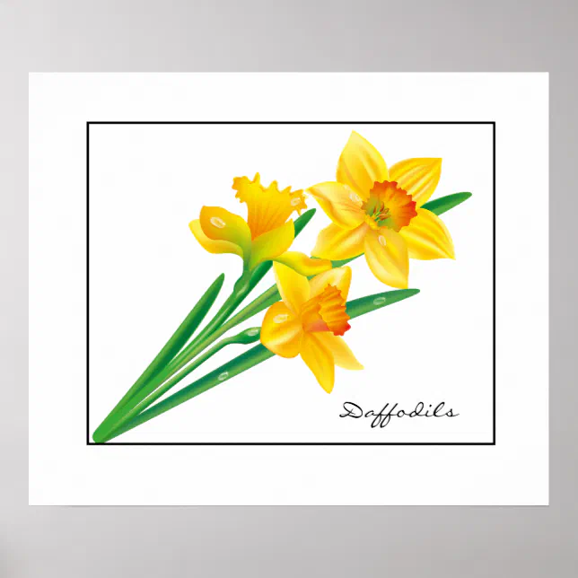 Poster-Daffodils Poster | Zazzle