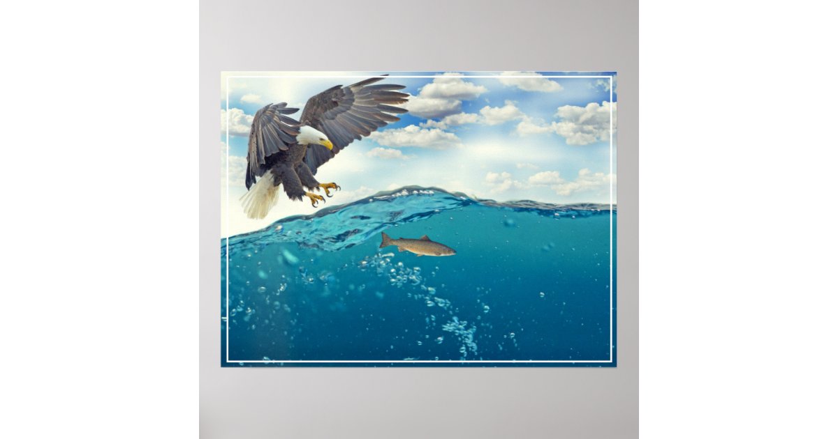 Poster-Eagle Poster | Zazzle