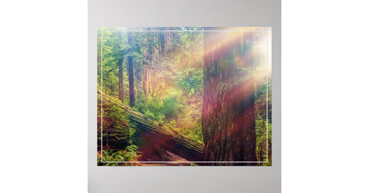 Poster-Forest Poster | Zazzle