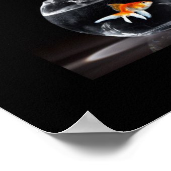 Poster-Goldfish Poster | Zazzle