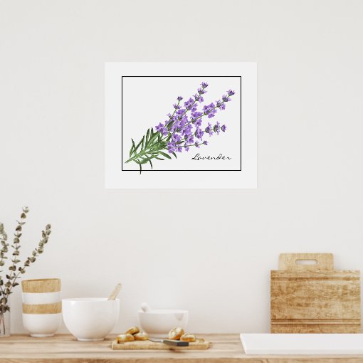 Poster-Lavender Poster | Zazzle