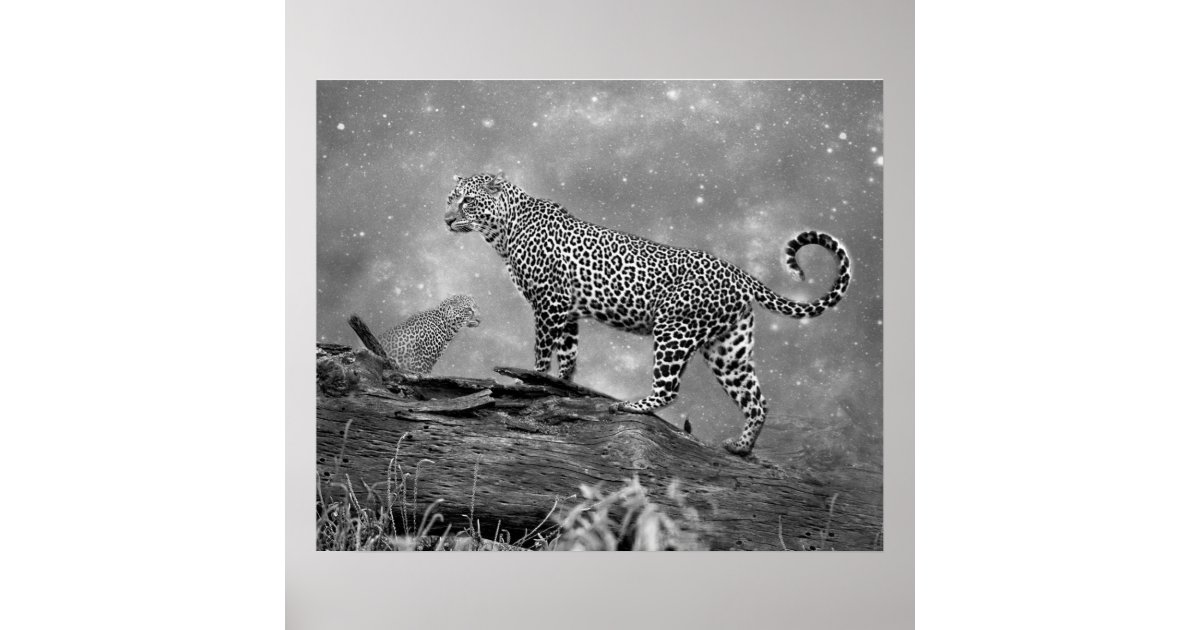 Poster/Leopards in Space Poster | Zazzle
