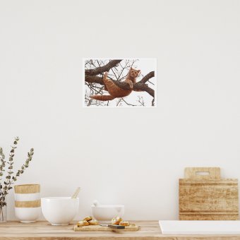 Poster of a cat about to fall off of a tree | Zazzle