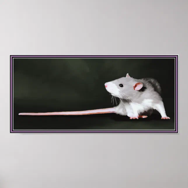 Poster of Cute Rat painting | Zazzle