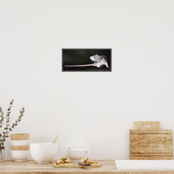 Poster of Cute Rat painting | Zazzle