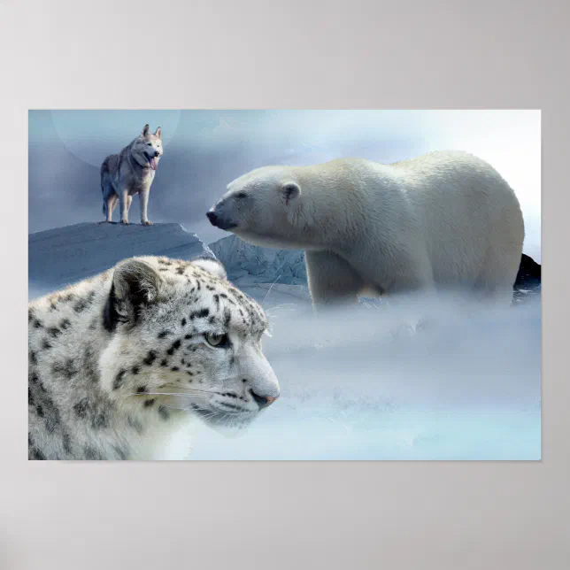 Poster-Polar Bear-Husky-Snow Leopard Poster | Zazzle