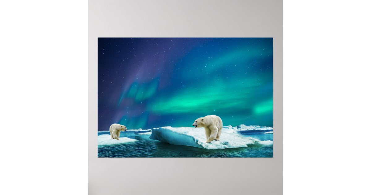 Poster-Polar Bears Poster | Zazzle