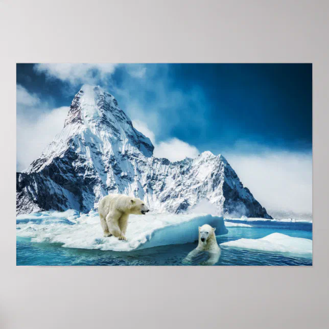 Poster-Polar Bears Poster | Zazzle