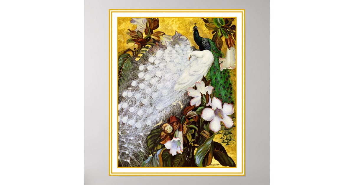 Poster Print: White and Blue Peacock | Zazzle