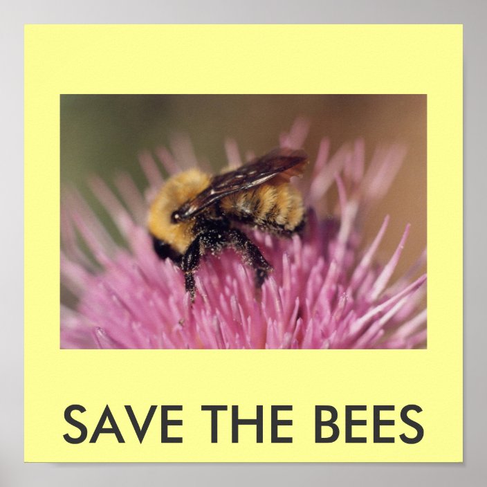 Poster: SAVE THE BEES Poster | Zazzle.com