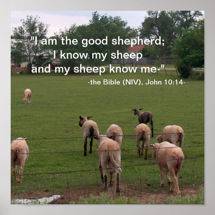 Poster/The Good Shepherd Poster | Zazzle.com