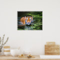 Poster-Tiger Poster | Zazzle