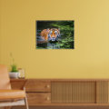Poster-Tiger Poster | Zazzle