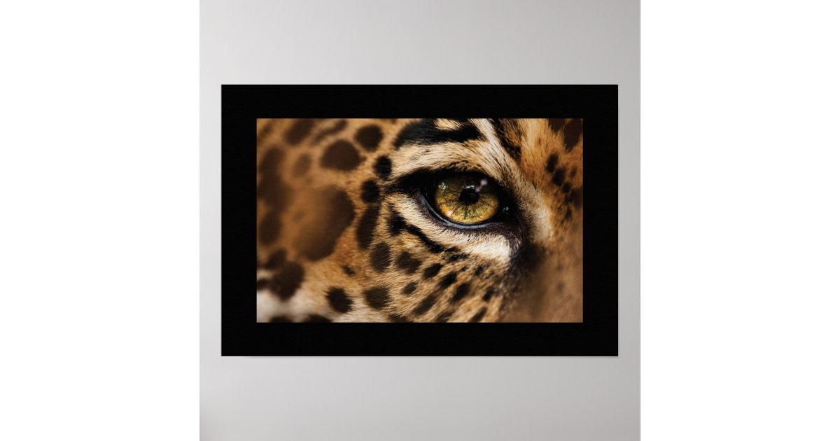 Poster-Wild Cat Poster | Zazzle.com