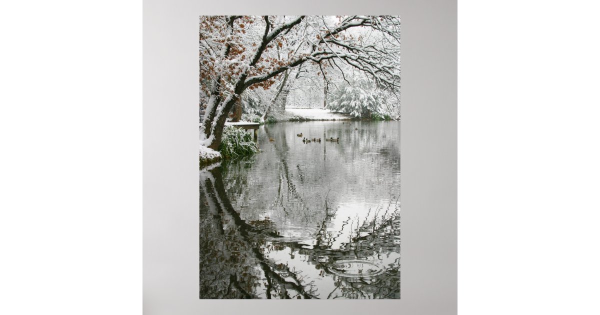 Poster Winter Scene | Zazzle