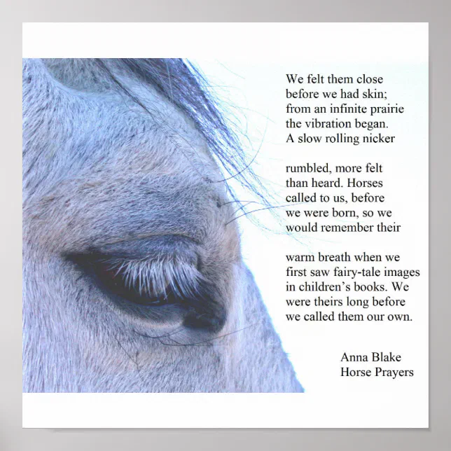 Poster with horse and poem by Anna Blake. | Zazzle