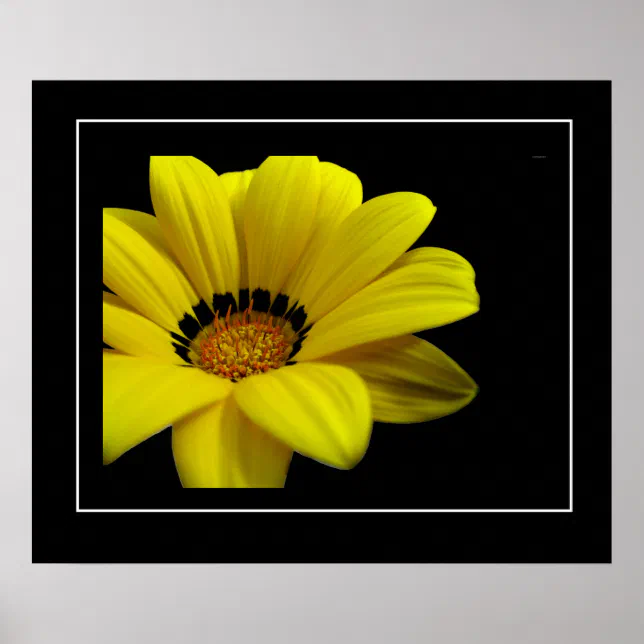 Poster-Yellow Daisy Poster | Zazzle