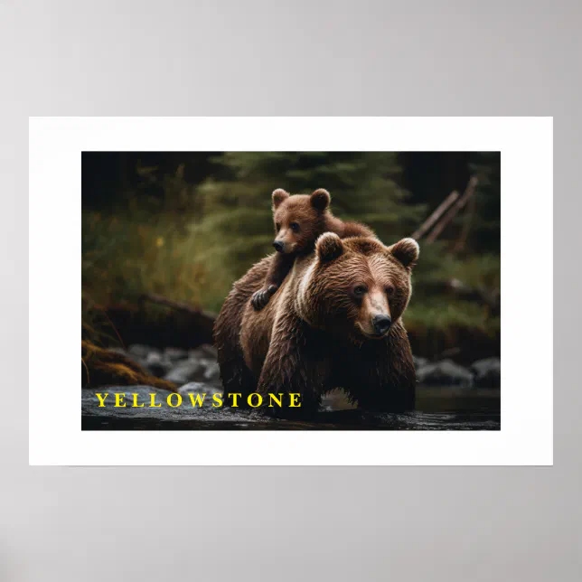 Poster Yellowstone Bear | Zazzle