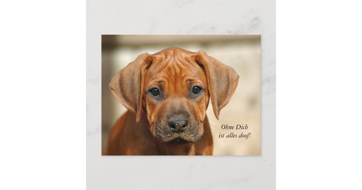 Postkarte "Ohne Dich ist alles doof!" Postcard | Zazzle