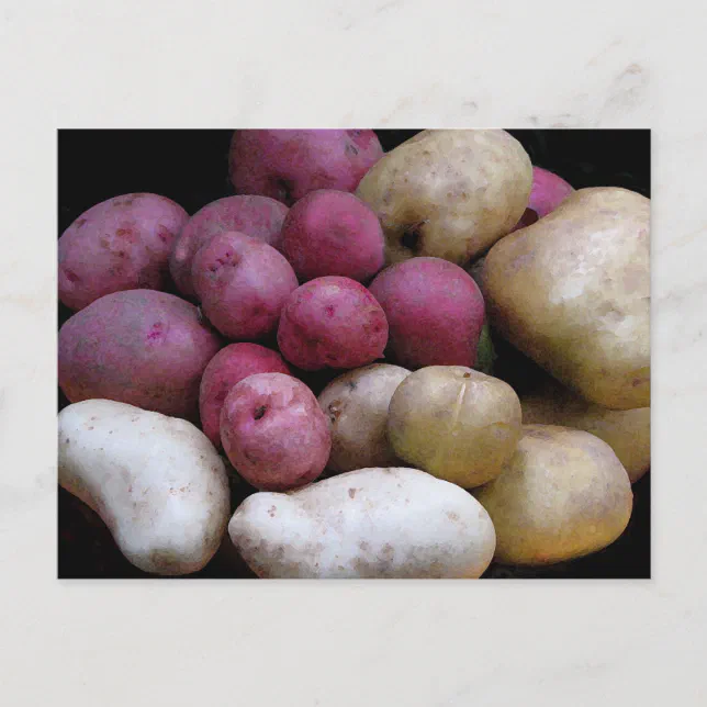 Potato Postcard | Zazzle