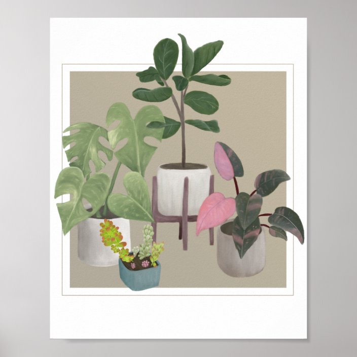 Potted Houseplants Poster | Zazzle.com