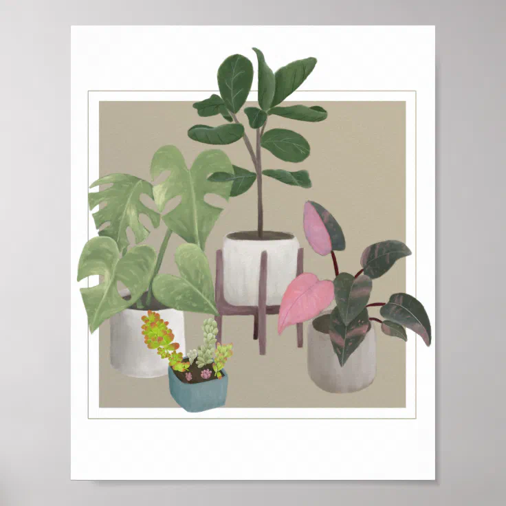 Potted Houseplants Poster | Zazzle