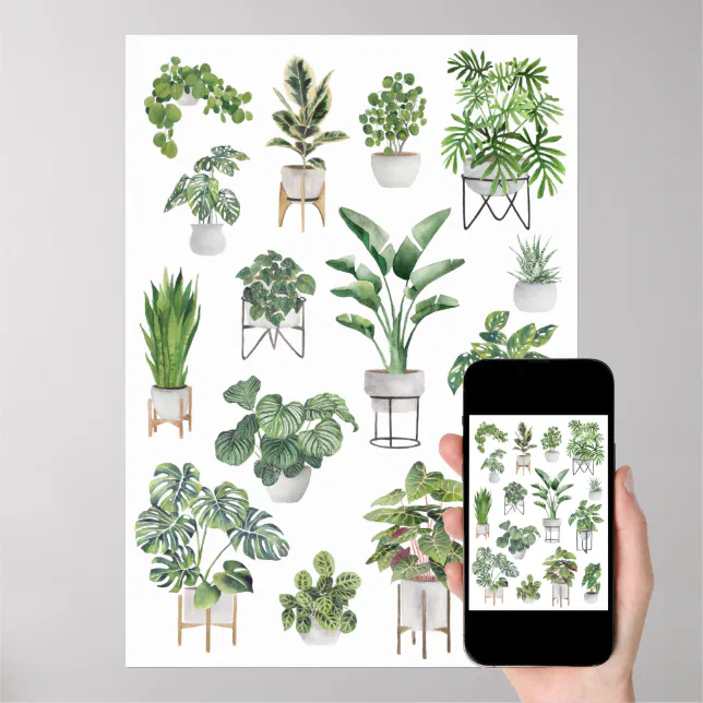 Potted Plant Collection 5 Poster | Zazzle