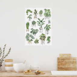 Potted Plant Collection 5 Poster | Zazzle