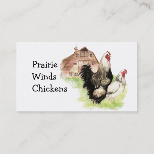 Poultry, Chicken Farm Eggs Free Run, Organic Business Card | Zazzle