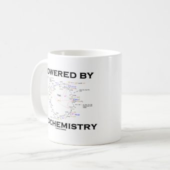 Powered By Biochemistry (Krebs Cycle) Coffee Mug | Zazzle