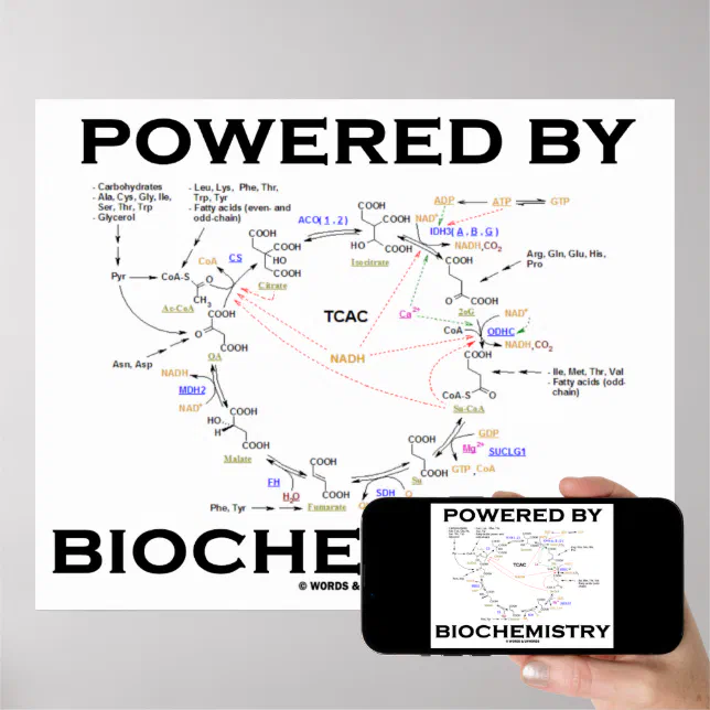 Powered By Biochemistry (Krebs Cycle) Poster | Zazzle
