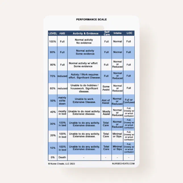 PPS / KPS Badge Buddy for Hospice Nurses | Zazzle