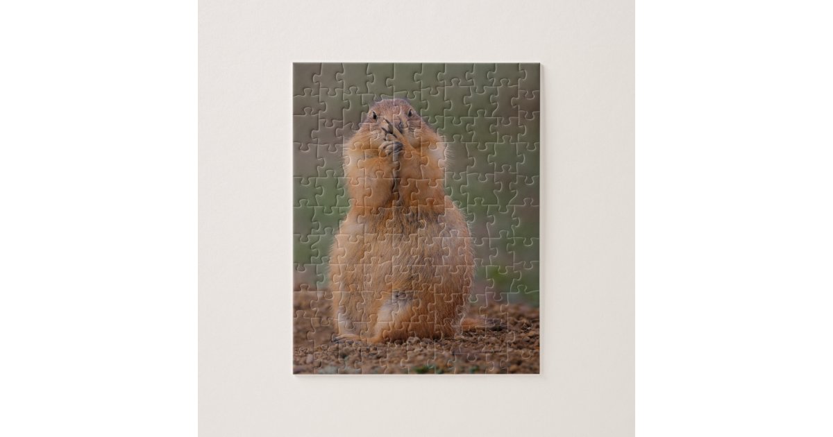 prairie dog jigsaw puzzle | Zazzle
