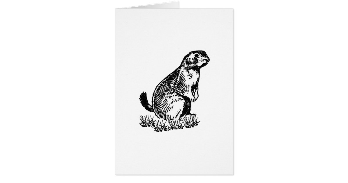 Prairie Dog Logo (line art) | Zazzle
