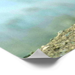 Prairie Dog Mother And Baby Poster | Zazzle