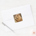 Prairie Dog sticker | Zazzle